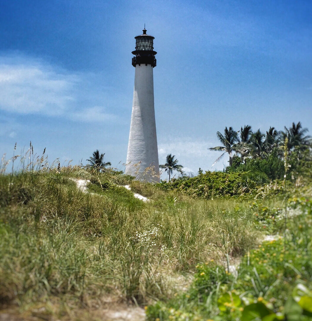 The 7 most Instagrammable spots in Miami - Aer Lingus Hub