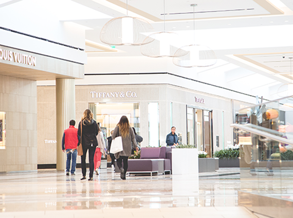 Collecting Avios - Aer Lingus